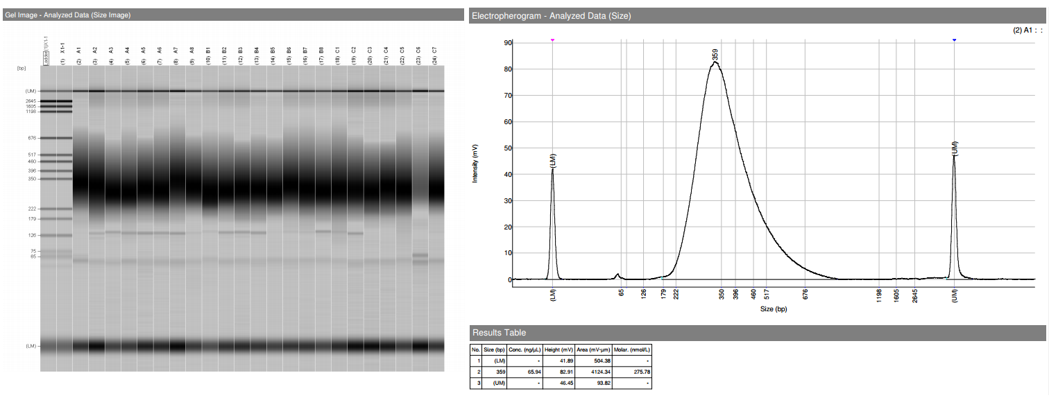 Quantification and equimolar pooling of NGS libraries