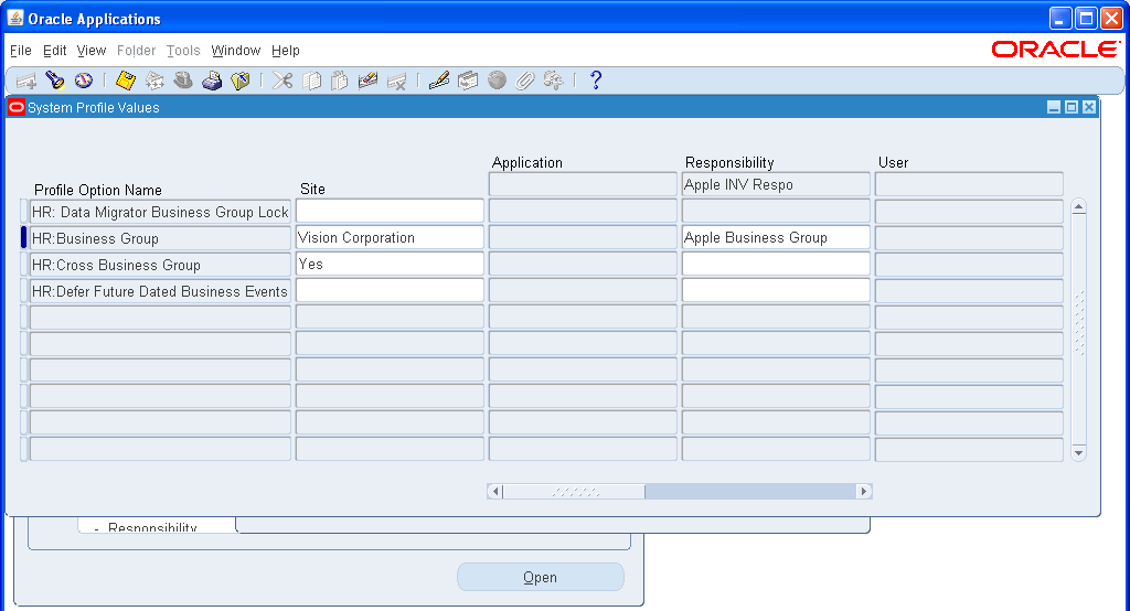 Oracle E-Business Suite R12 Financials: Defining Multi Organization