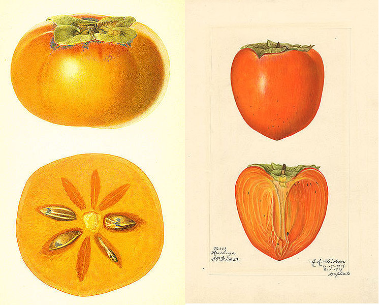 DRINKFACTORY: November 2012