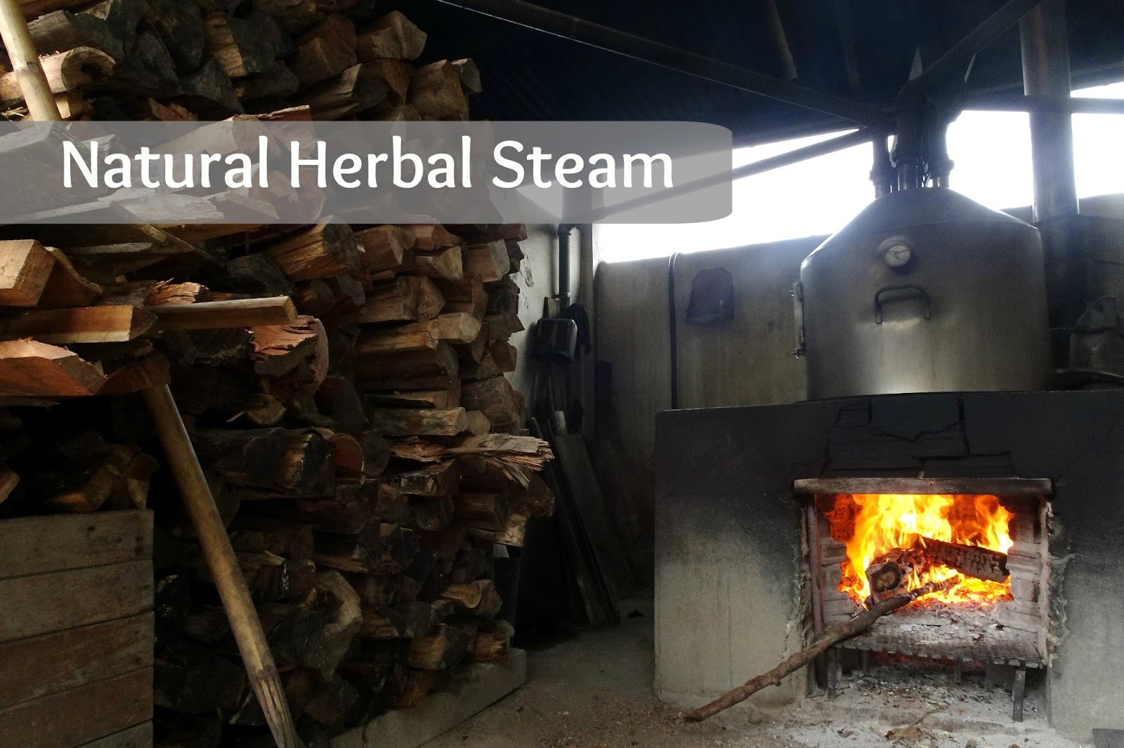 Natural Herbal Steam in Phuket : อบสมุนไพร ความร้อนจากไม้ฟืนธรรมชาติที่ ...