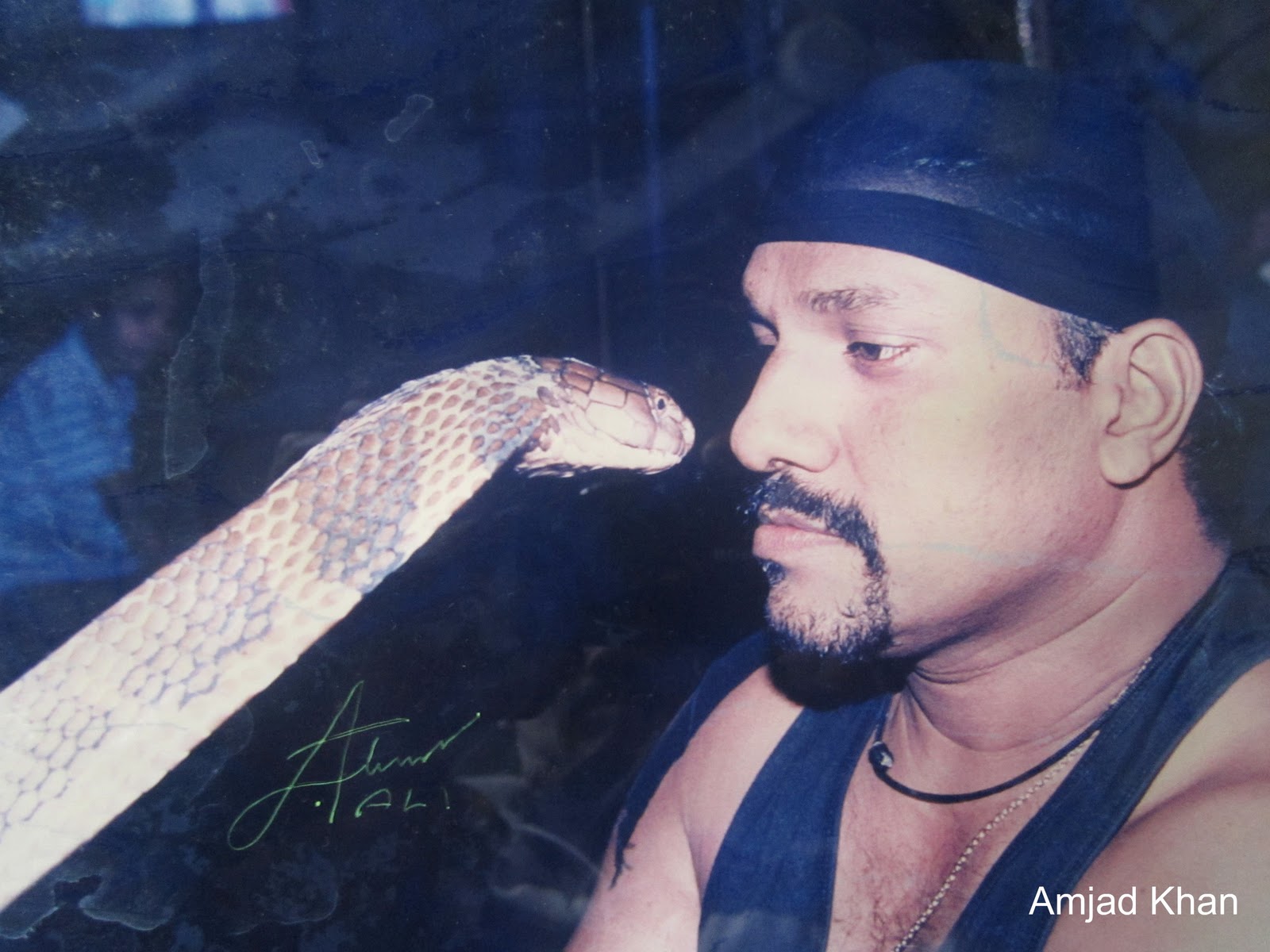 SON OF THE SNAKE KING MALAYSIA: Raja Ular Malaysia dan Raja Kalajenking ...