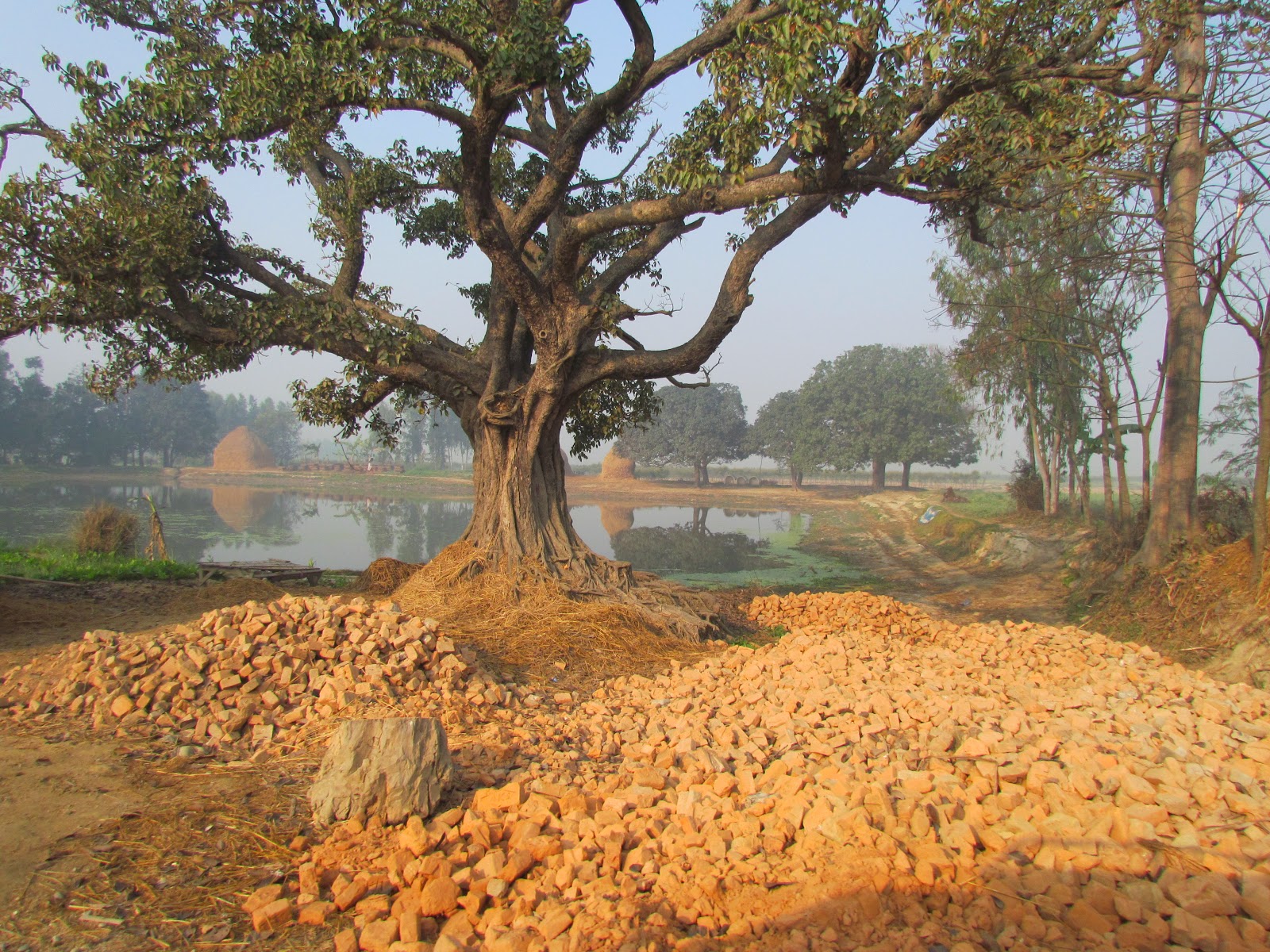 The Sarlahi District of Nepal