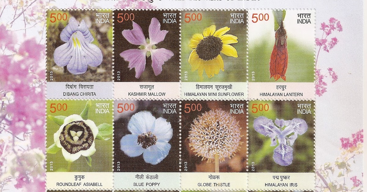 coins and more: 238) Wild Flowers of India: Commemorative Postage ...