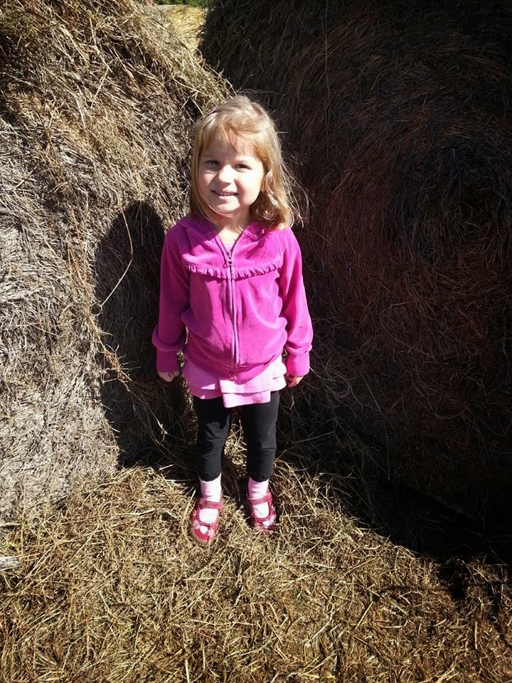 The Exciting Days of the Meyers: Aamodts Apple Orchard with NPC