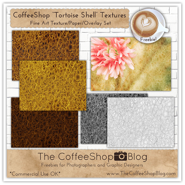 The CoffeeShop Blog: CoffeeShop "Tortoise Shell" Texture/Digital Paper Set!