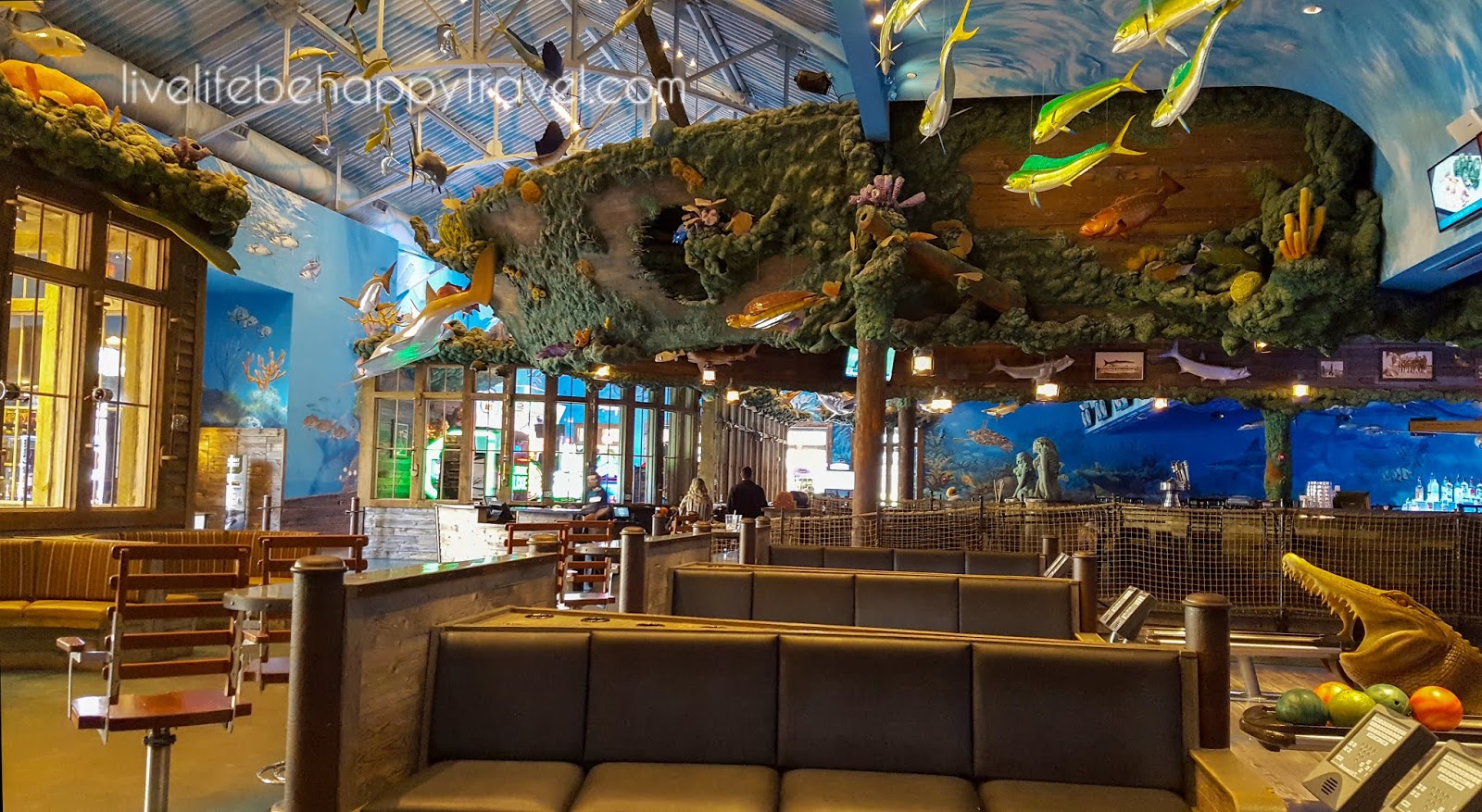 Life and Coconuts: Discovering the Best Activities in Destin, Florida ...