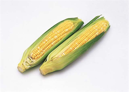 Kukuruz (lat. Zea mays) | Prirodni lijekovi za sve bolesti ! All ...