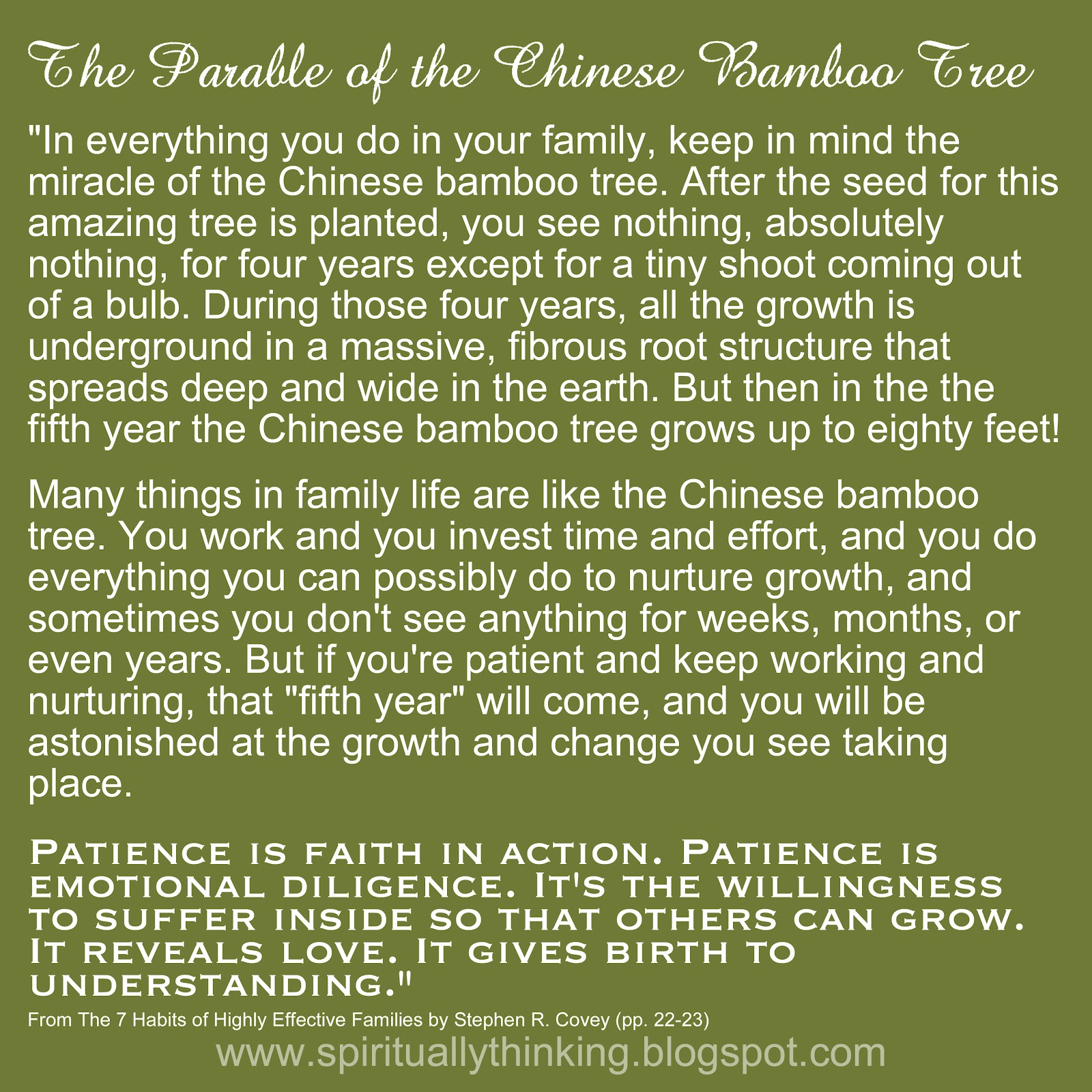 and Spiritually Speaking: The Parable of the Chinese Bamboo Tree