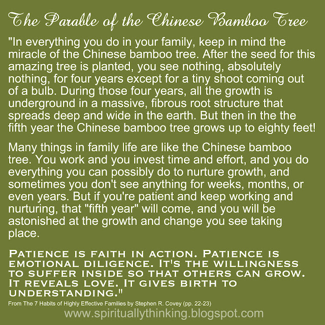 and Spiritually Speaking: The Parable of the Chinese Bamboo Tree