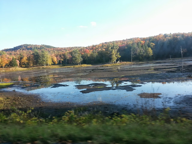 Simply Franee: Black Mountain, Clemons NY