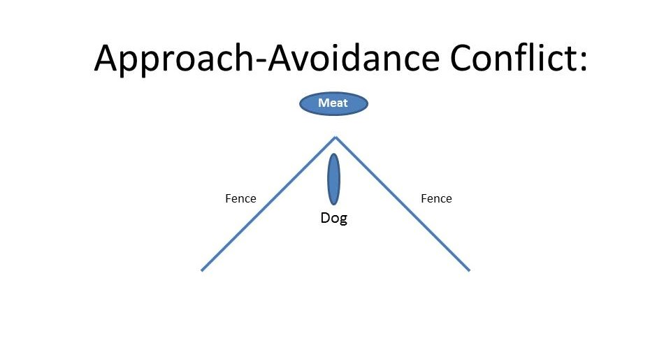 Liberty's Torch: Negotiations And Dogs