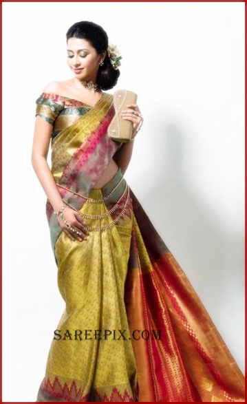 Venkatagiri Sarees | Andhra Cultural Portal