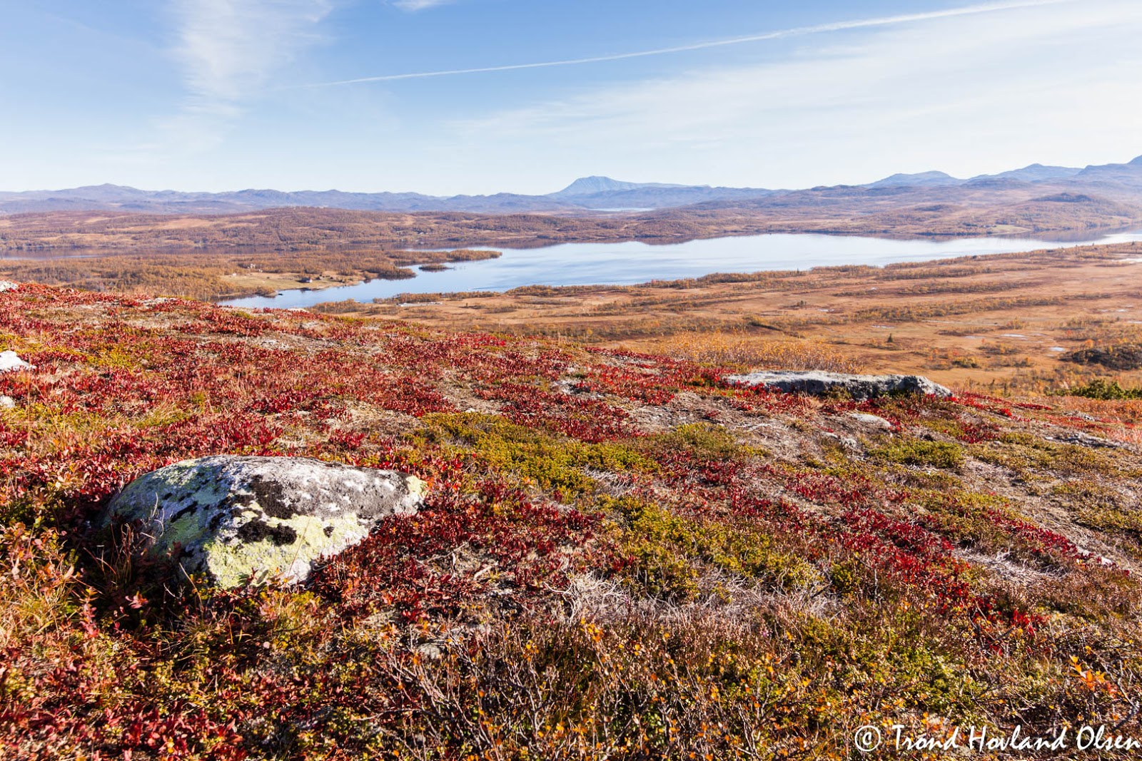Naturbilder : Høst i fjellet