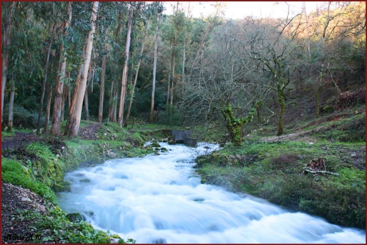 DIA DE RIO NASCENTE - Ser-Tão Paulistano