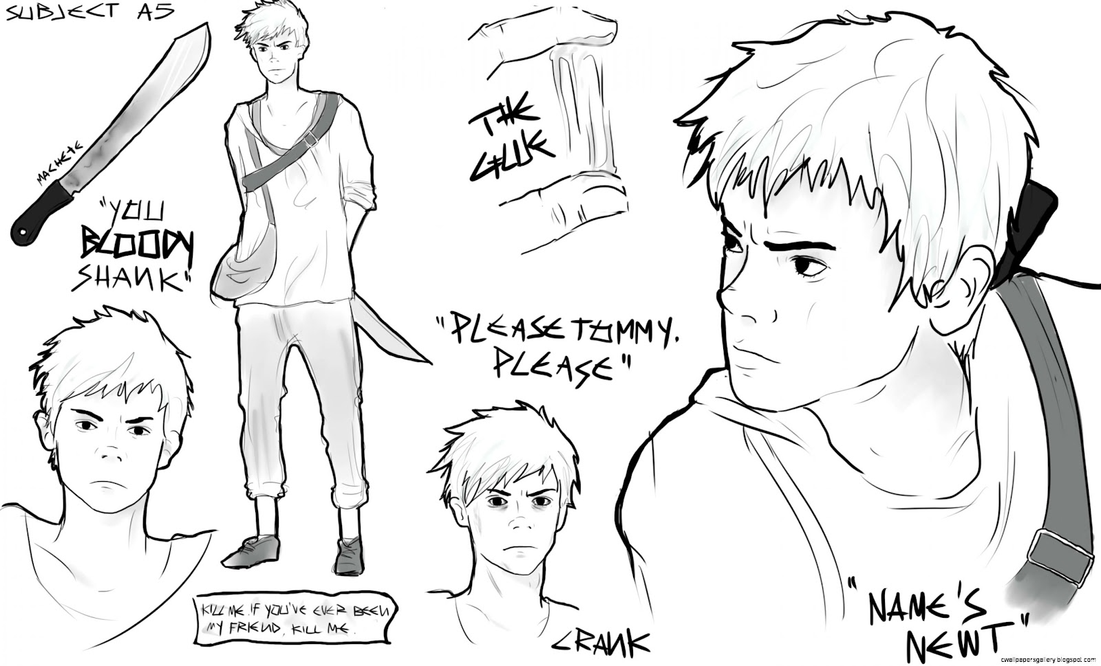 Newt Drawing | Wallpapers Gallery