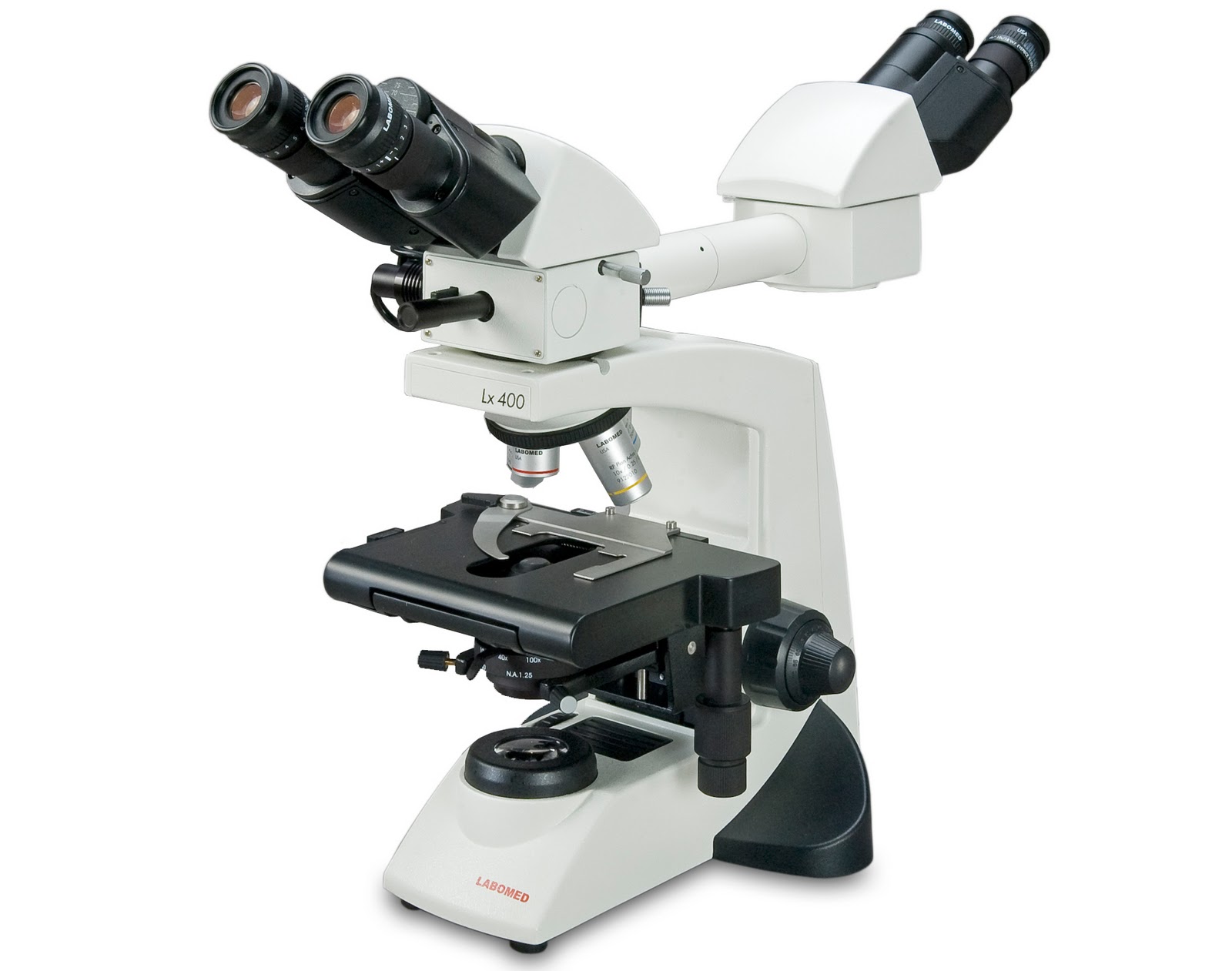 Tarea de Biologia: MICROSCOPIO COMPUESTO