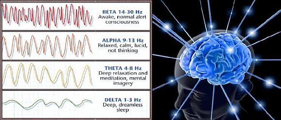 LawOfAttractionUK: The Brain is a Transmitter and Receiver of Frequency