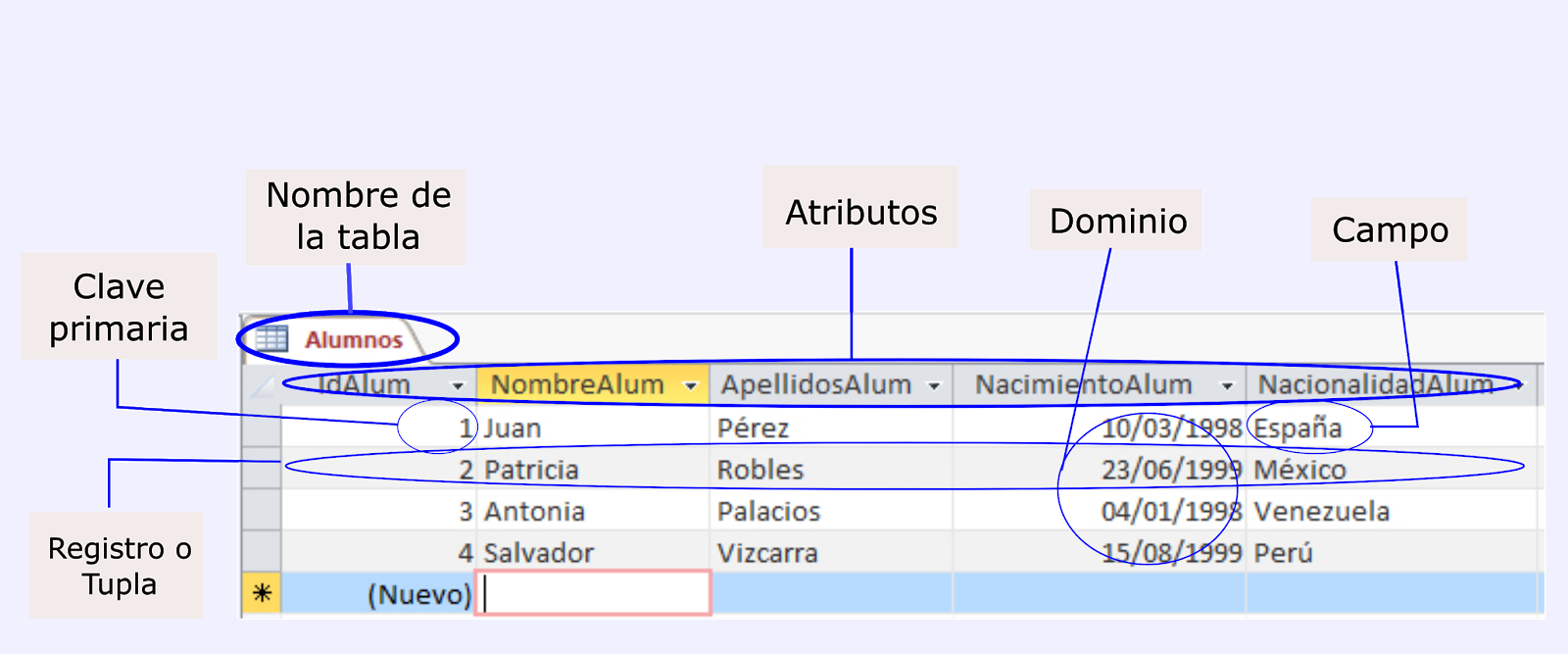 ¿Qué es el Sistema de Gestión de Bases de Datos?