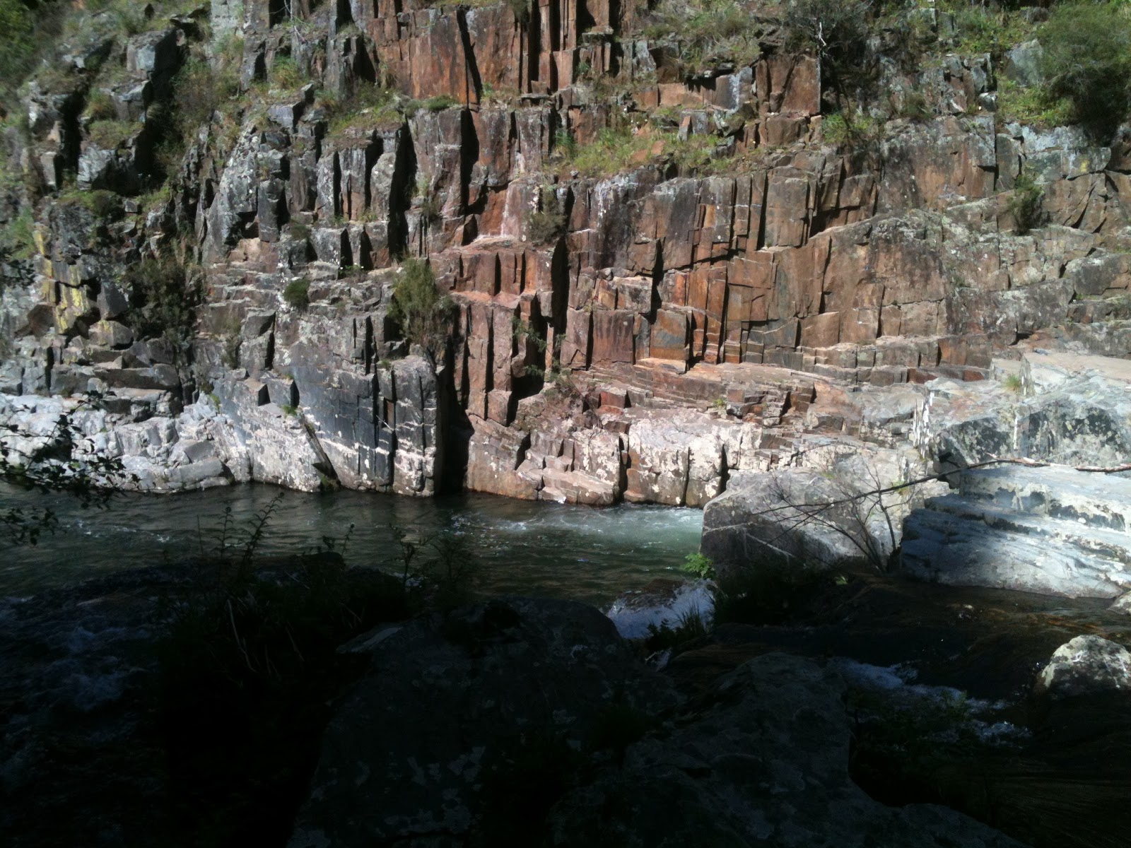 crocodilo vaidoso: carcavelos - góis - portugal