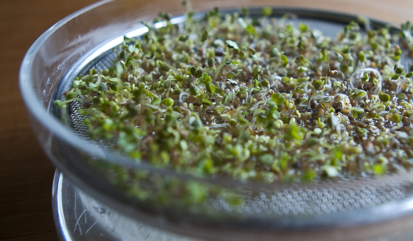 DONNA CARAMELLA: Scheutjes