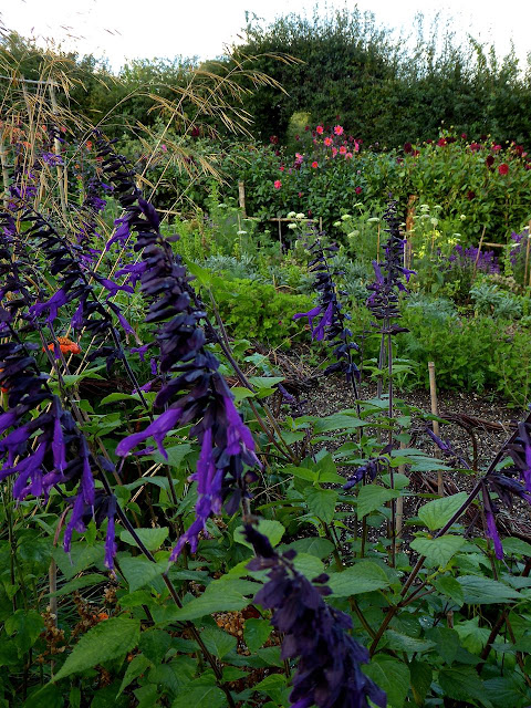 Grand Tour - Perch Hill