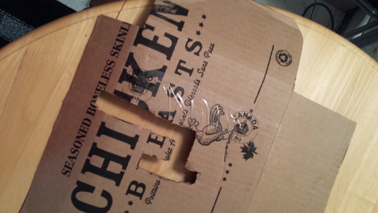 The 10 inch Selfie Cam: DIY Tablet Sun Shade