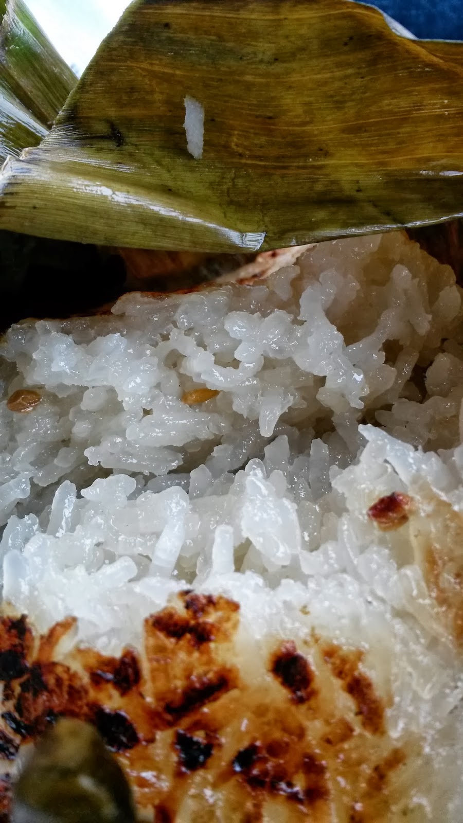 KD-GARDENS: PULUT BAKAR KUALA BESUT.......