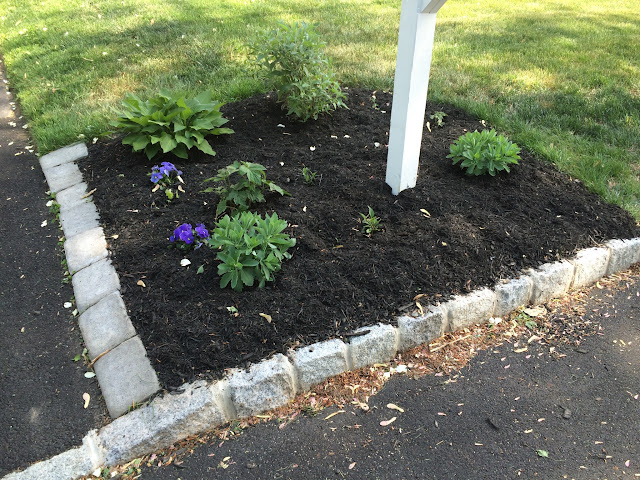 In the Little Yellow House: Mulching In Progress