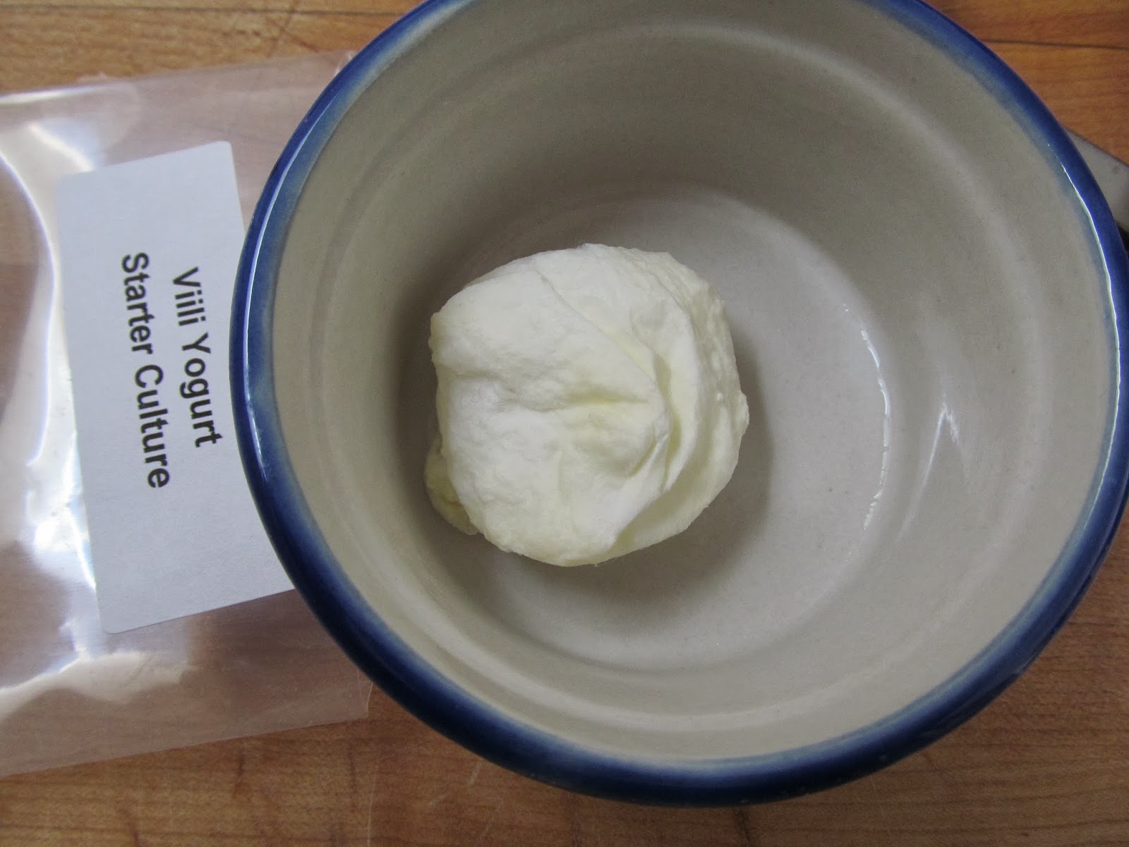 Adventures of a Whole Wheat Pastafarian: Cultural Journey - Kombucha ...