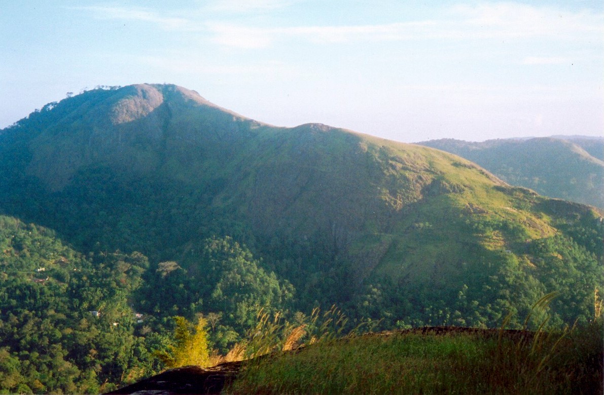 Joji Joshua Philipose: Kattappana Life, a trekker’s bliss