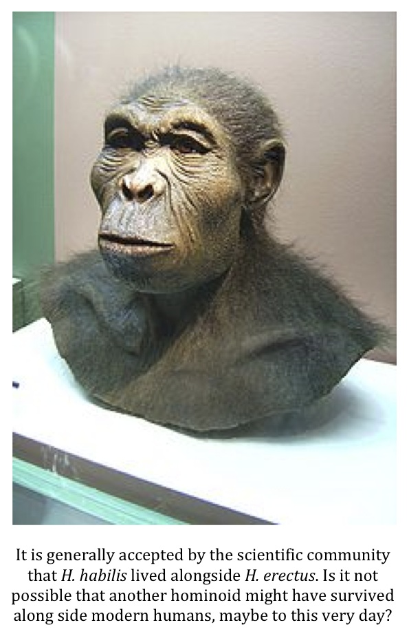 Texas Cryptid Hunter: New Species of Flat-Faced Primitive Human Discovered