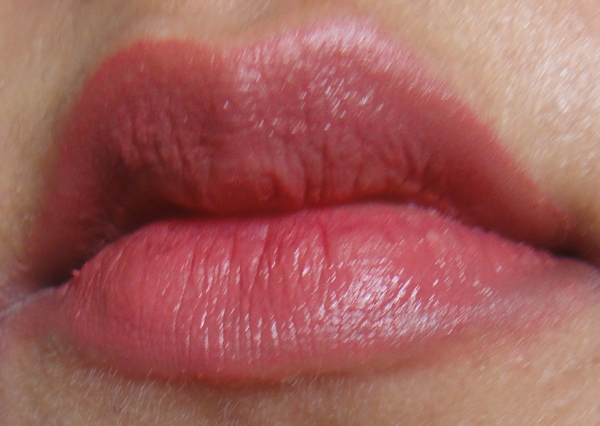 thePURPLEspirit: Bourjois Lip Creams: Brun Raffine and Prune ...