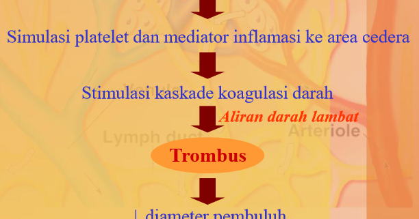KNOWLEDGE: TROMBUS
