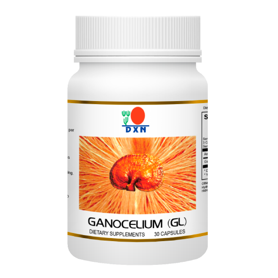 GANODERMA LUCIDUM en Polvo: RG (Reishi Gano) y GL (Ganocelium)