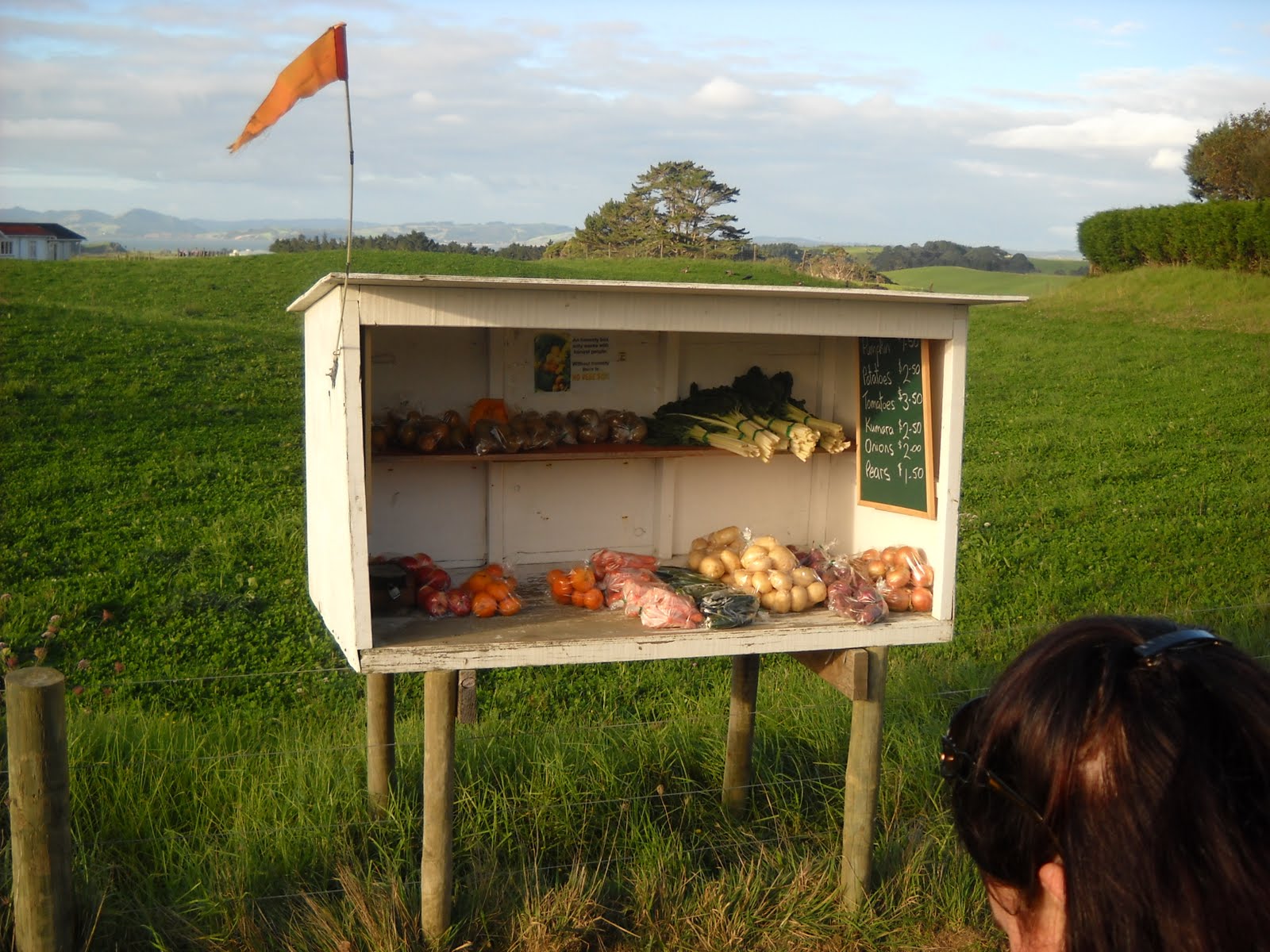 heart & home & life: Honesty Box
