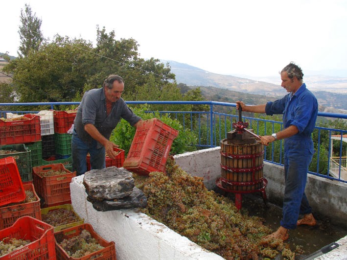 Παίζω και μαθαίνω: ΕΝΟΤΗΤΑ 13 ΤΟ ΠΑΤΗΤΗΡΙ