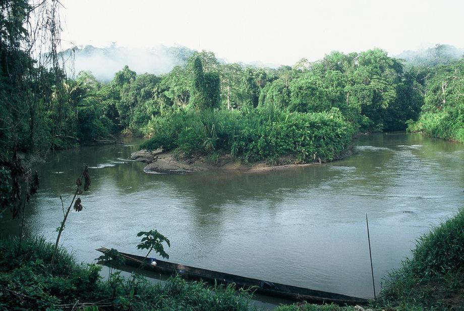 Parrots, Paddling, and Ponderings: The magic of rivers transports us ...