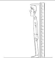 MONTJUÏC Primary School ENGLISH CLASSROOM: PRIMARY 3