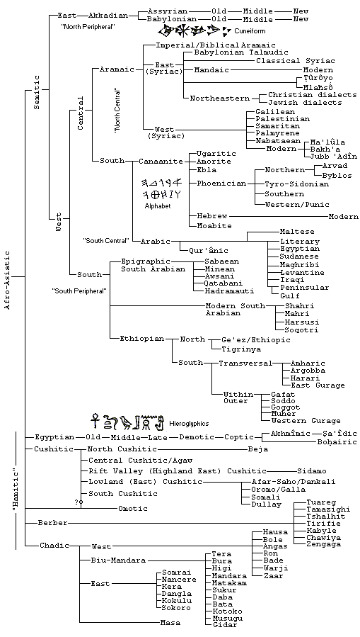 BIBLICAL ANTHROPOLOGY: The Urheimat of the Canaanite Y