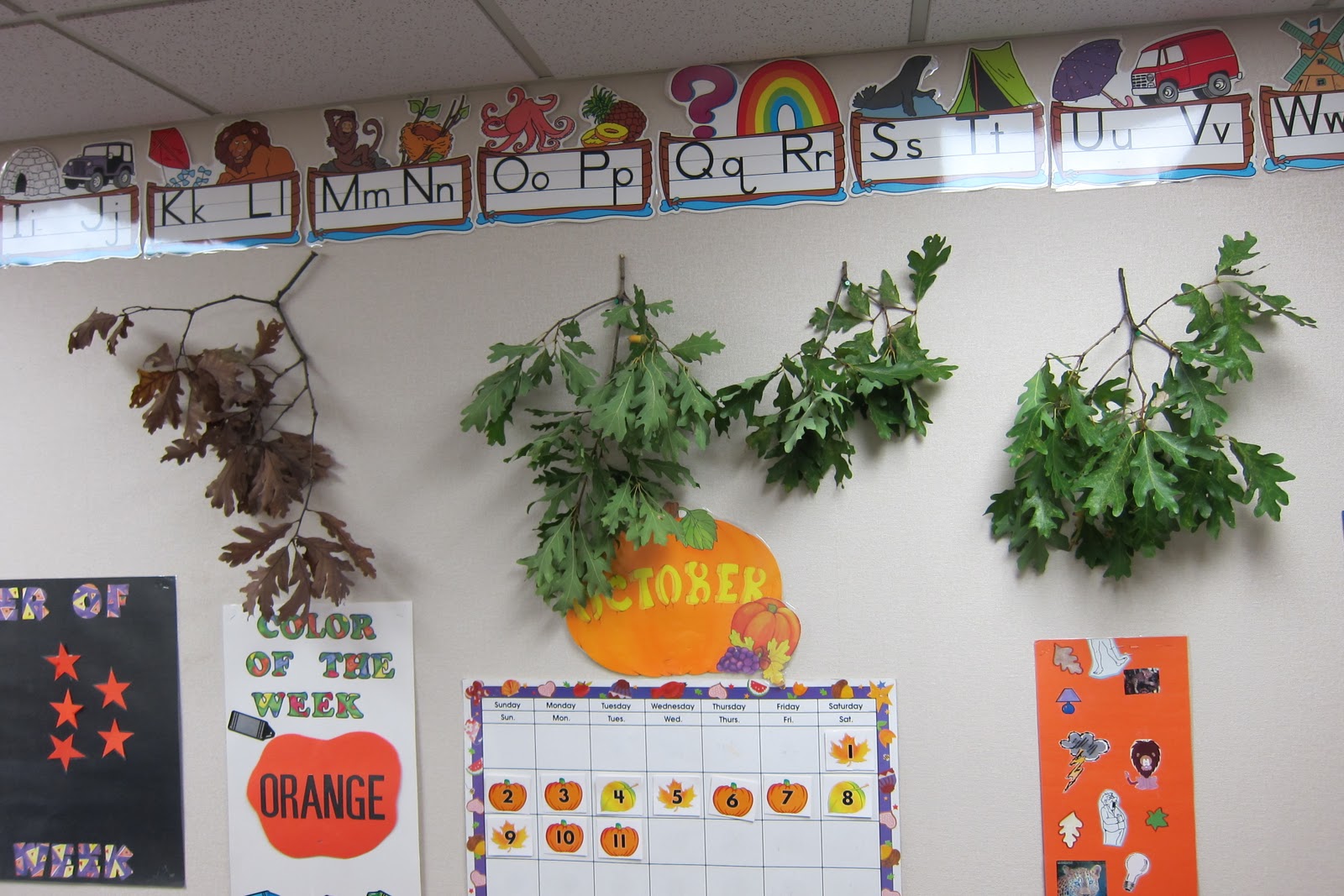 Mrs. Karen's Preschool Ideas: Leaves!