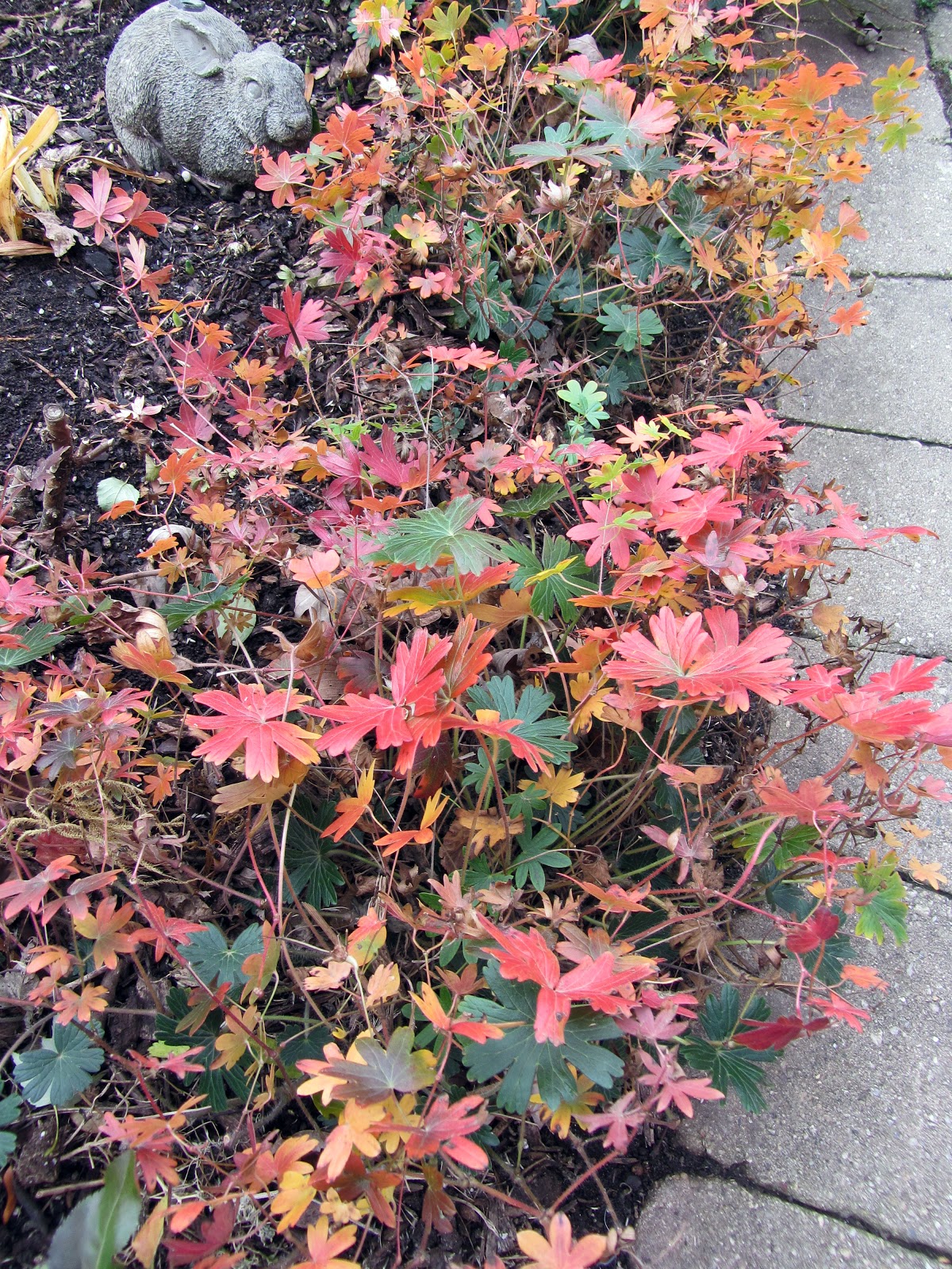 Gatsbys Gardens: Nov 11, 2012