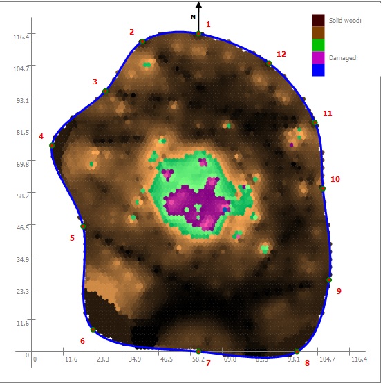 Fred Janes Consulting Arborist: Tree assessment and Picus Sonic ...