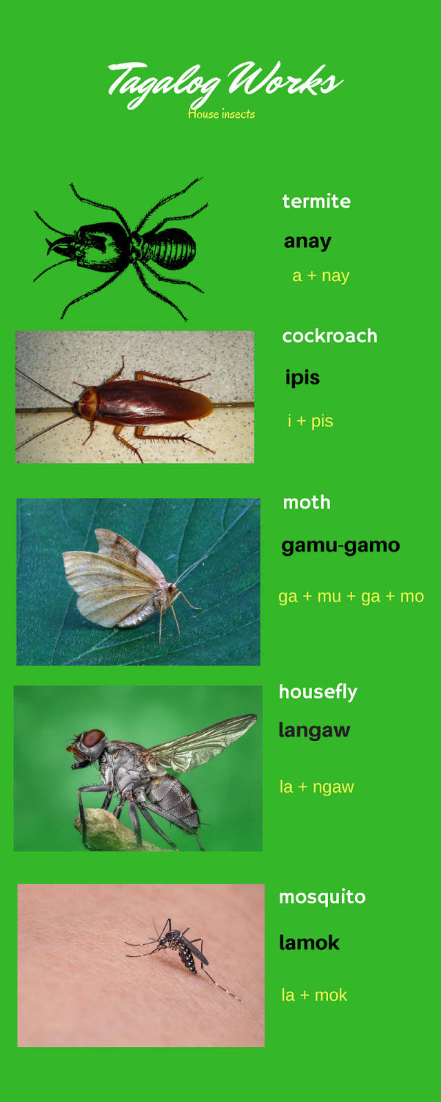 Animals in Tagalog