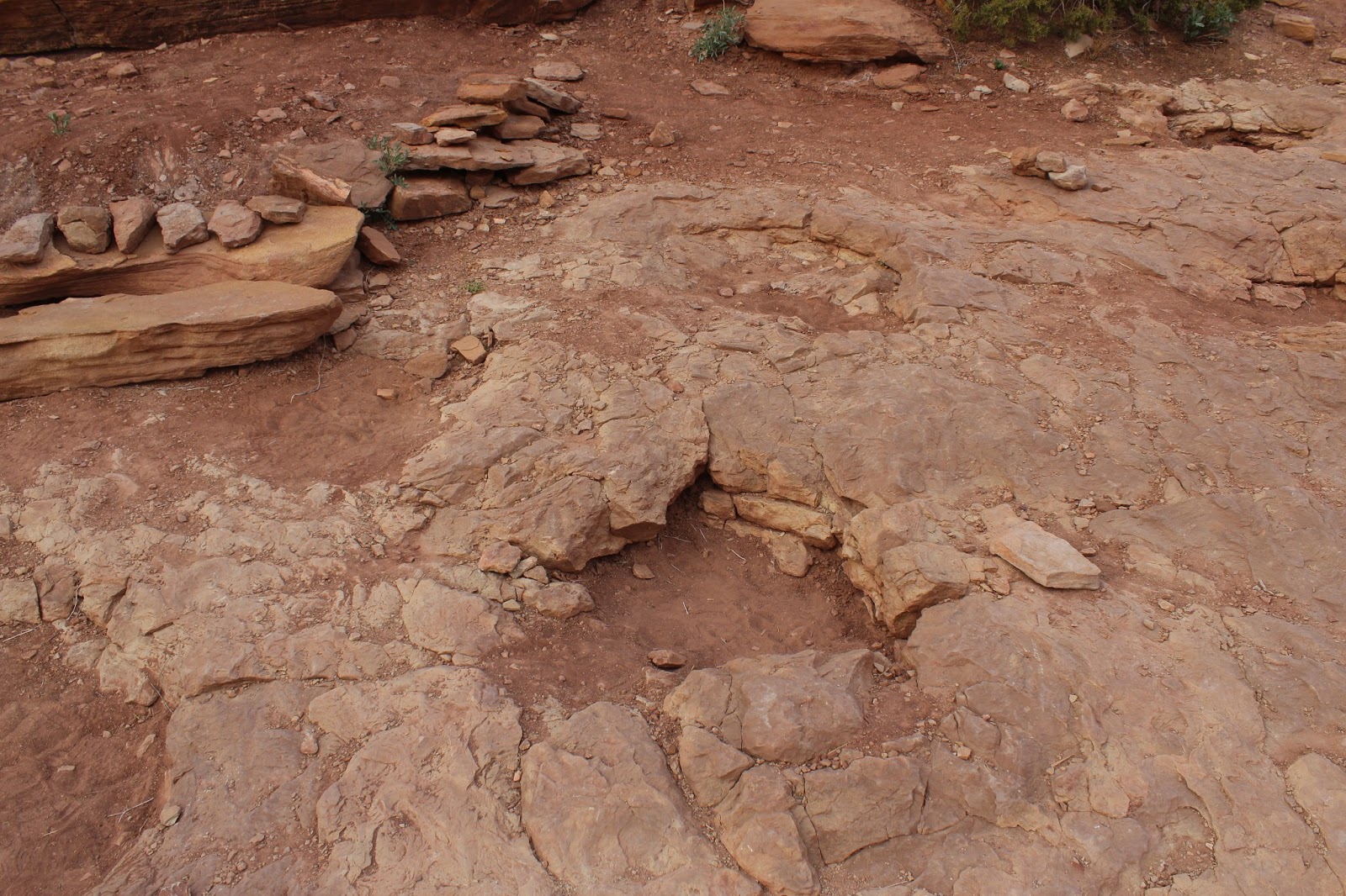 gjhikes.com: Copper Ridge Dinosaur Trackway