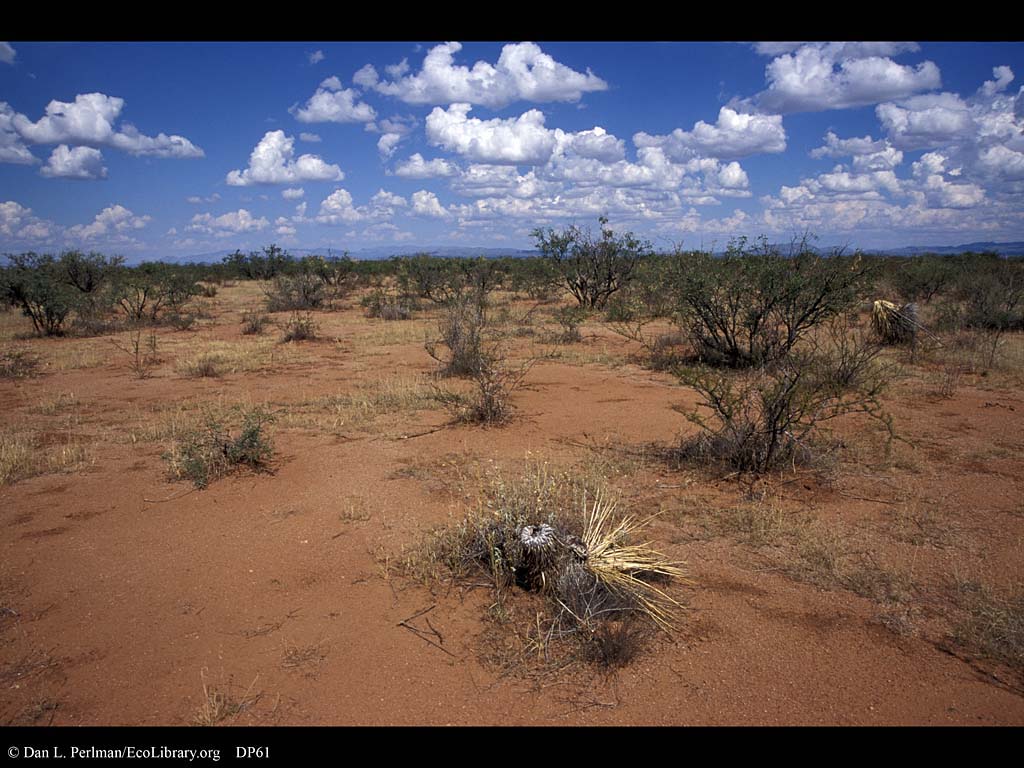 Wild West Project: div. wasteland enviroment