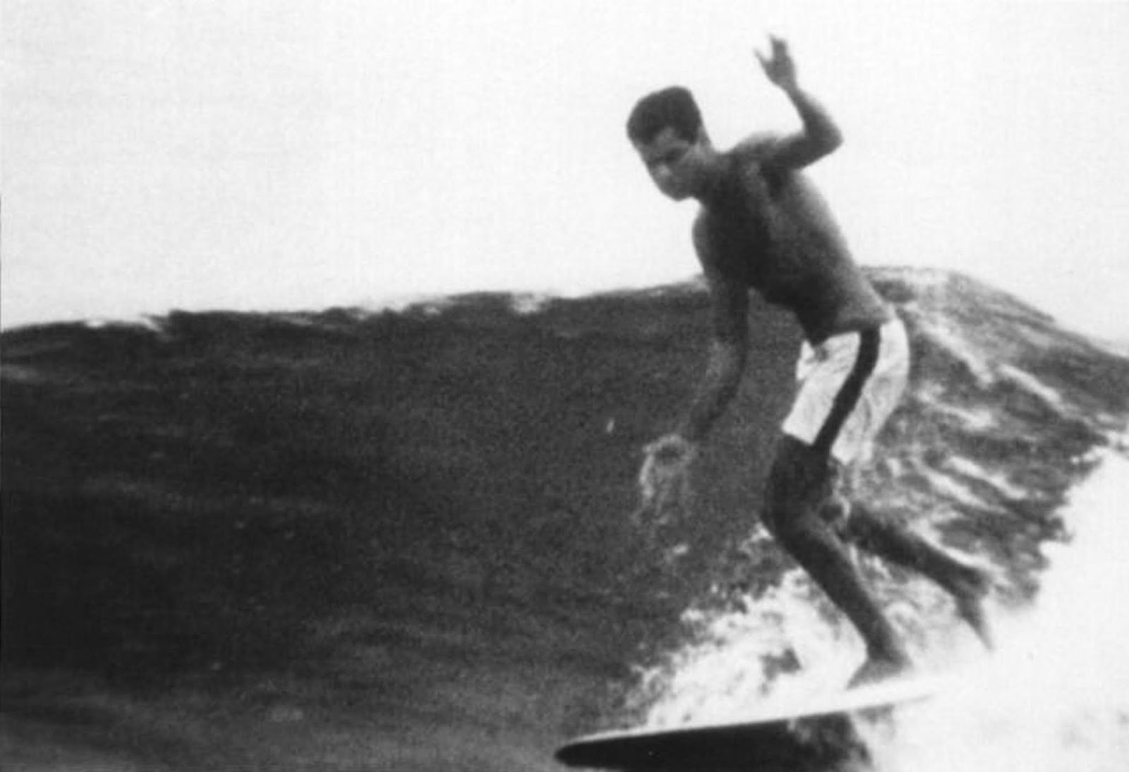 Forestdweller: Miki Dora