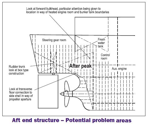 Marine Survey Practice: Surveyor Guide Notes for Container Ship Survey