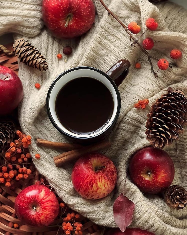 Fall Morning Routine | Blogtober Day 3 - Makeup by Dawn