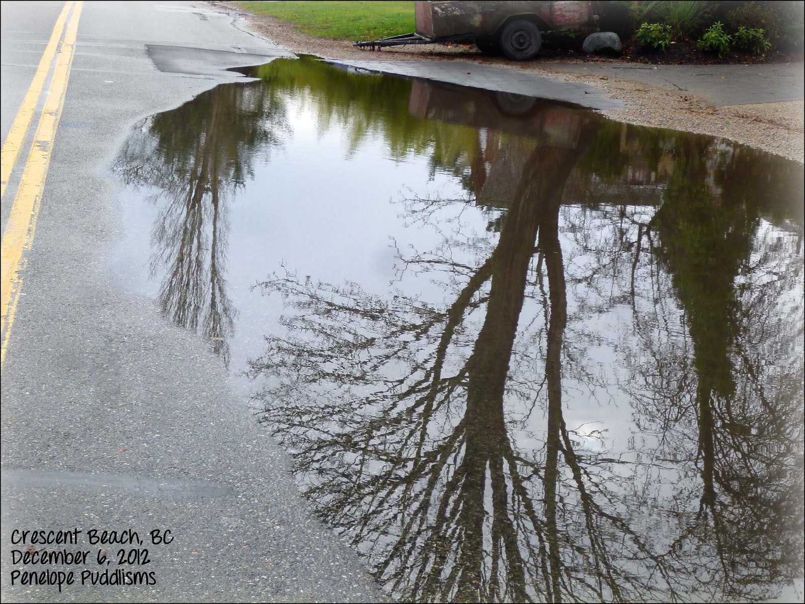 Musings of A Puddlist In B.C.: The Secret World Of Puddles
