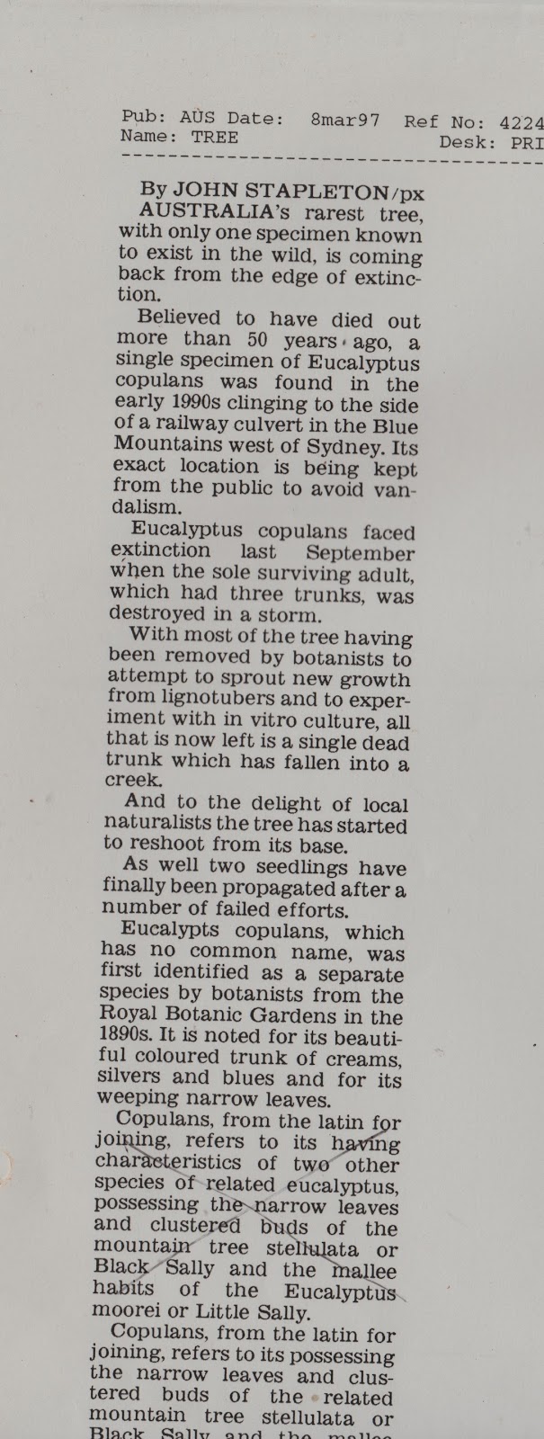Australia’s rarest tree, The Australian, 8 March, 1997. – John ...